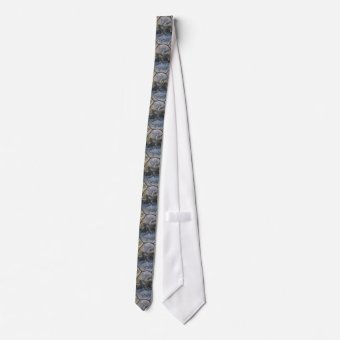 Gopher Tortoise Shell Neck Tie | Zazzle