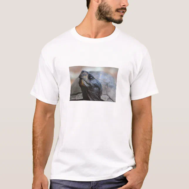 gopher tortoise T-Shirt | Zazzle