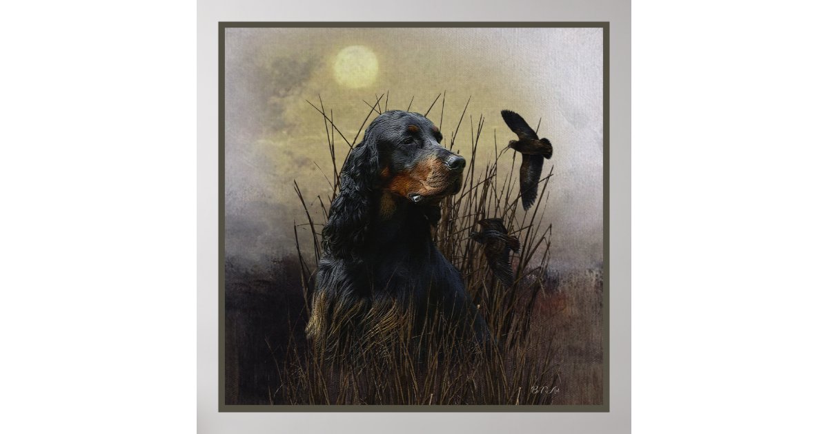 Gordon Setter , Hunting companion Poster | Zazzle