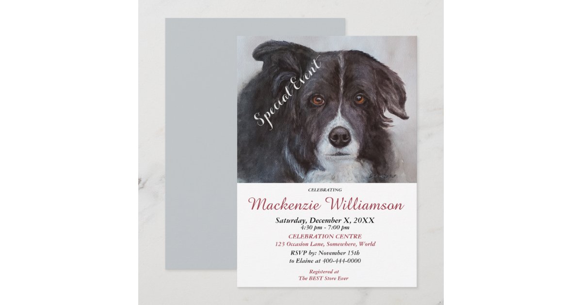 GORGEOUS BLACK BORDER COLLIE WISHES HAPPY BIRTHDAY INVITATION | Zazzle