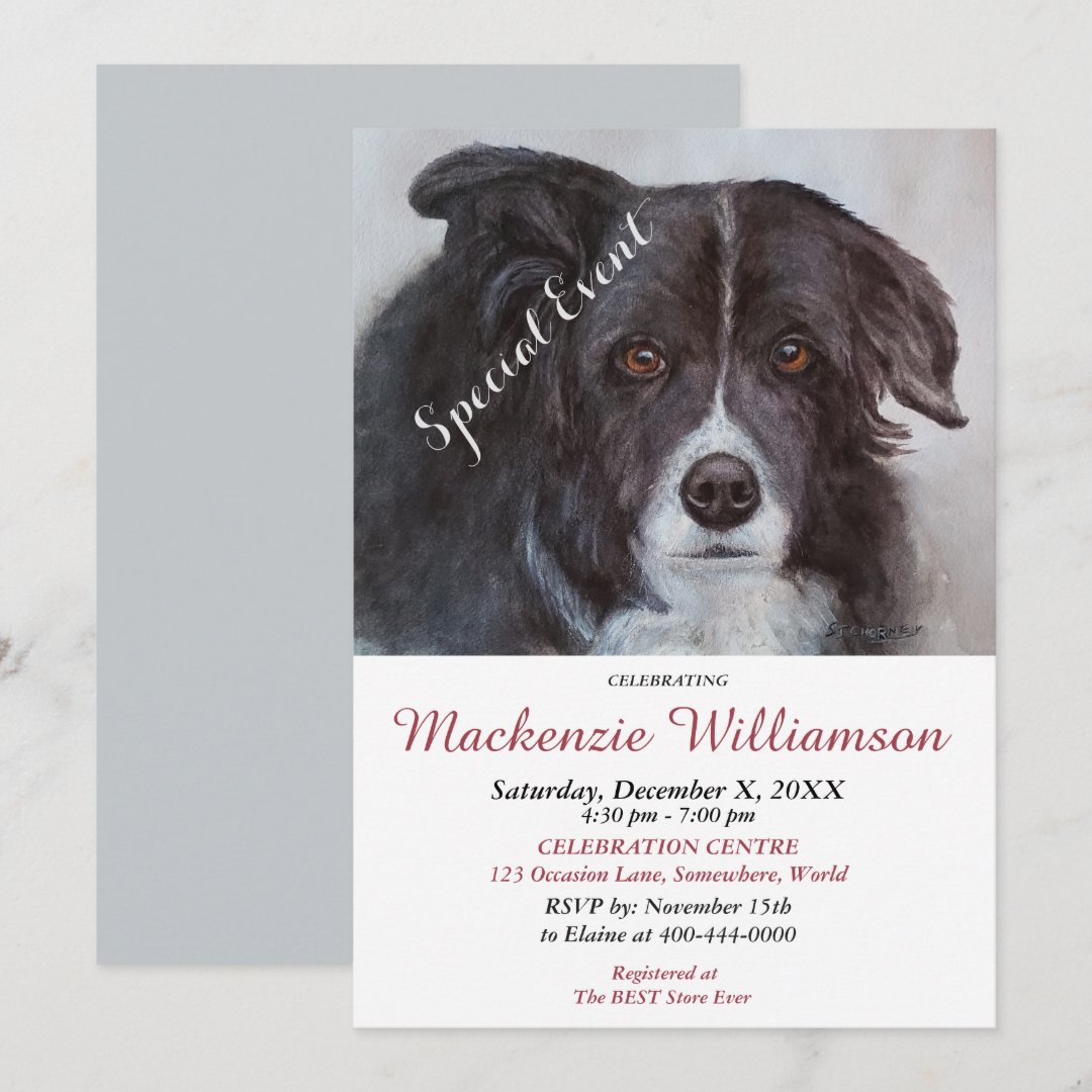 GORGEOUS BLACK BORDER COLLIE WISHES HAPPY BIRTHDAY INVITATION | Zazzle