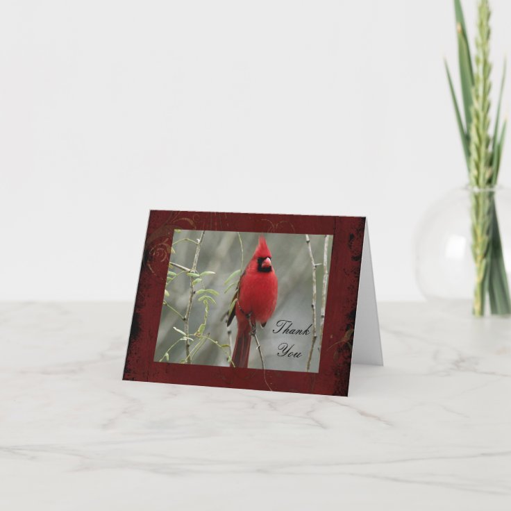 Gorgeous Cardinal Photo- Thank You Note Card | Zazzle