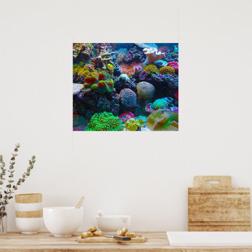 Gorgeous Coral Reef Poster | Zazzle