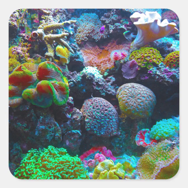 Gorgeous Coral Reef Square Sticker | Zazzle