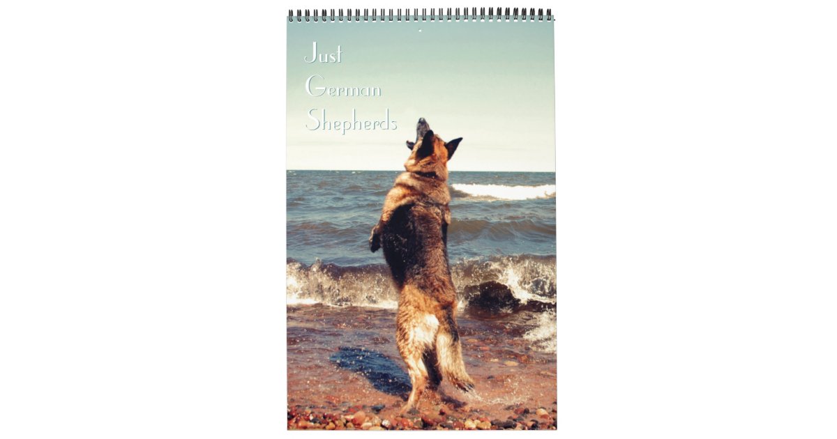 Gorgeous German Shepherd Calendar | Zazzle