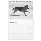Gorgeous German Shepherd Calendar | Zazzle