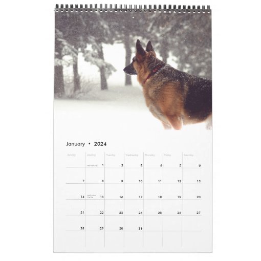 Gorgeous German Shepherd Calendar | Zazzle