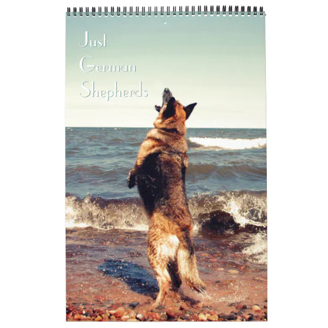 Gorgeous German Shepherd Calendar | Zazzle