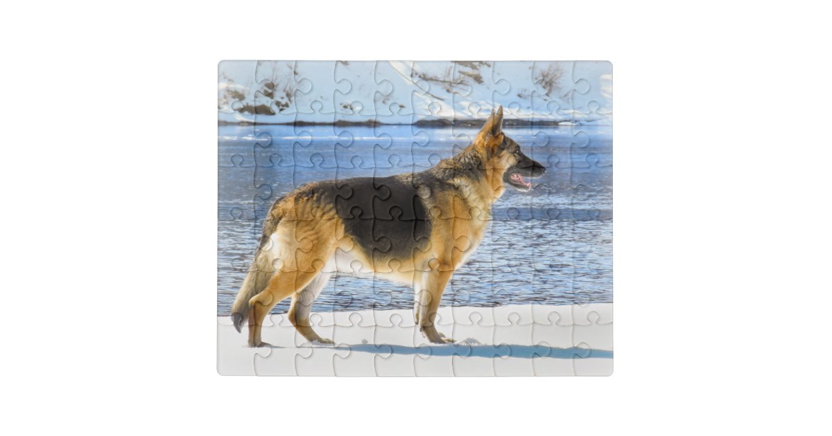 Gorgeous German Shepherd in the Winter Jigsaw Puzzle | Zazzle