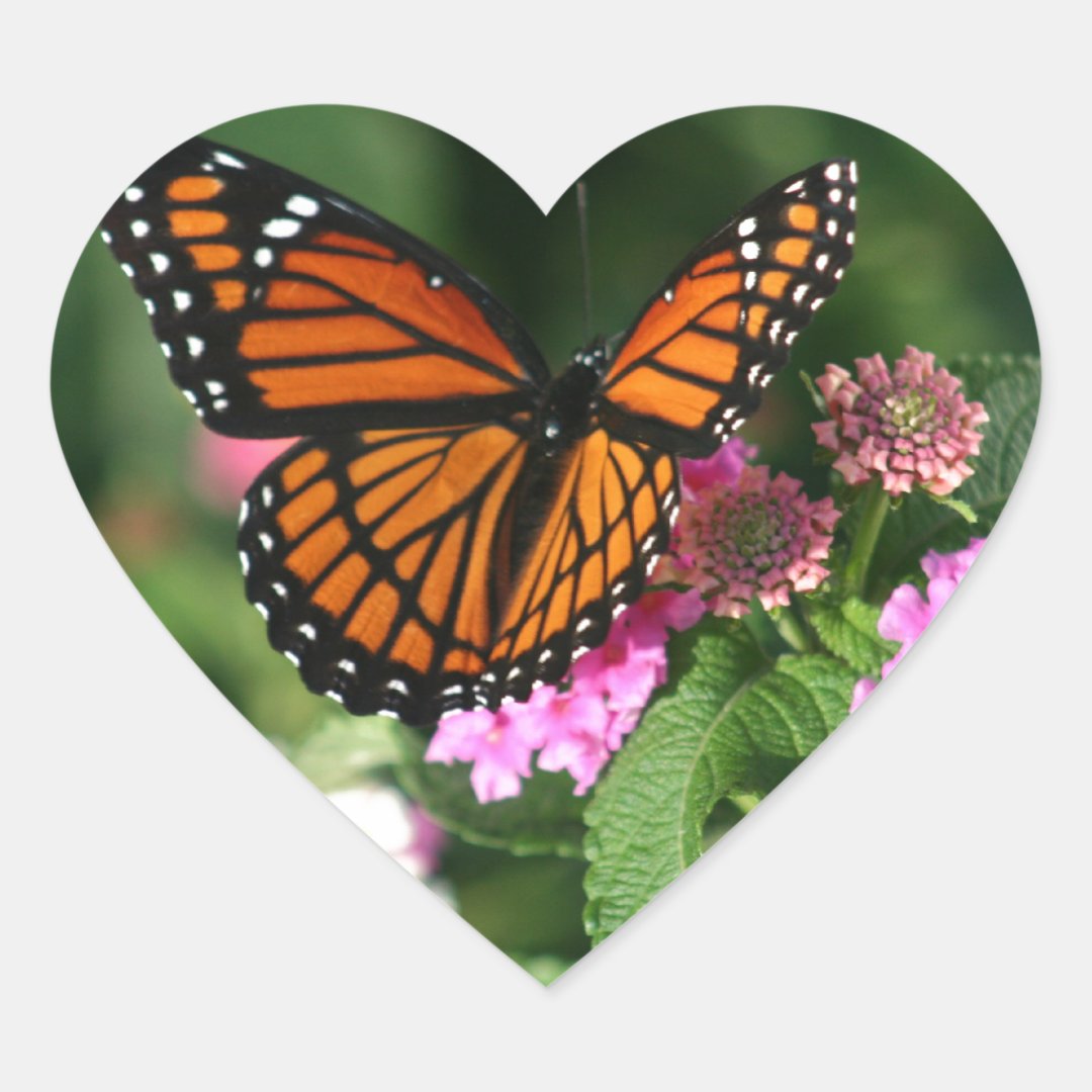 Gorgeous Monarch Butterfly Design Heart Sticker | Zazzle