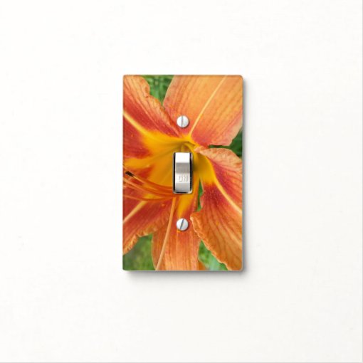 Gorgeous Orange Flower Light Switch | Zazzle