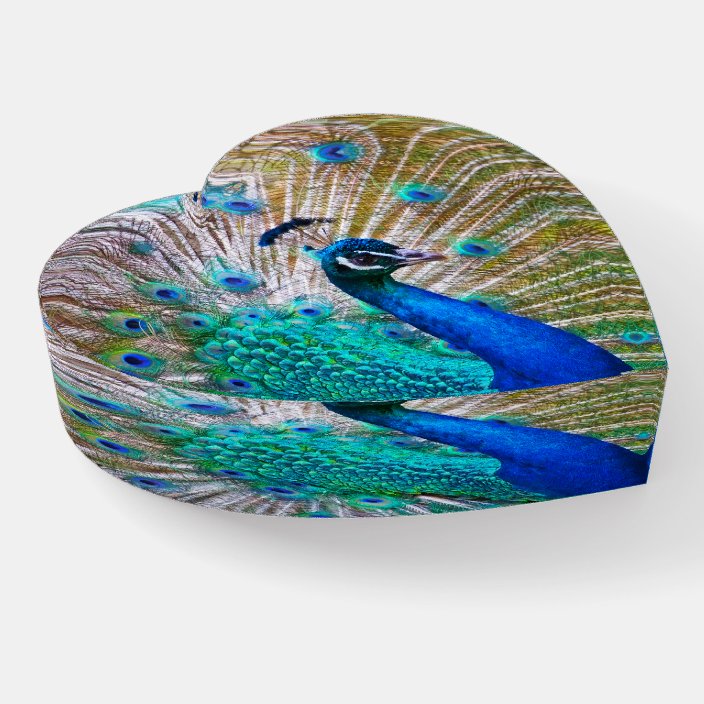 Gorgeous Peacock Gifts for Her, Peacock Paperweight | Zazzle.com