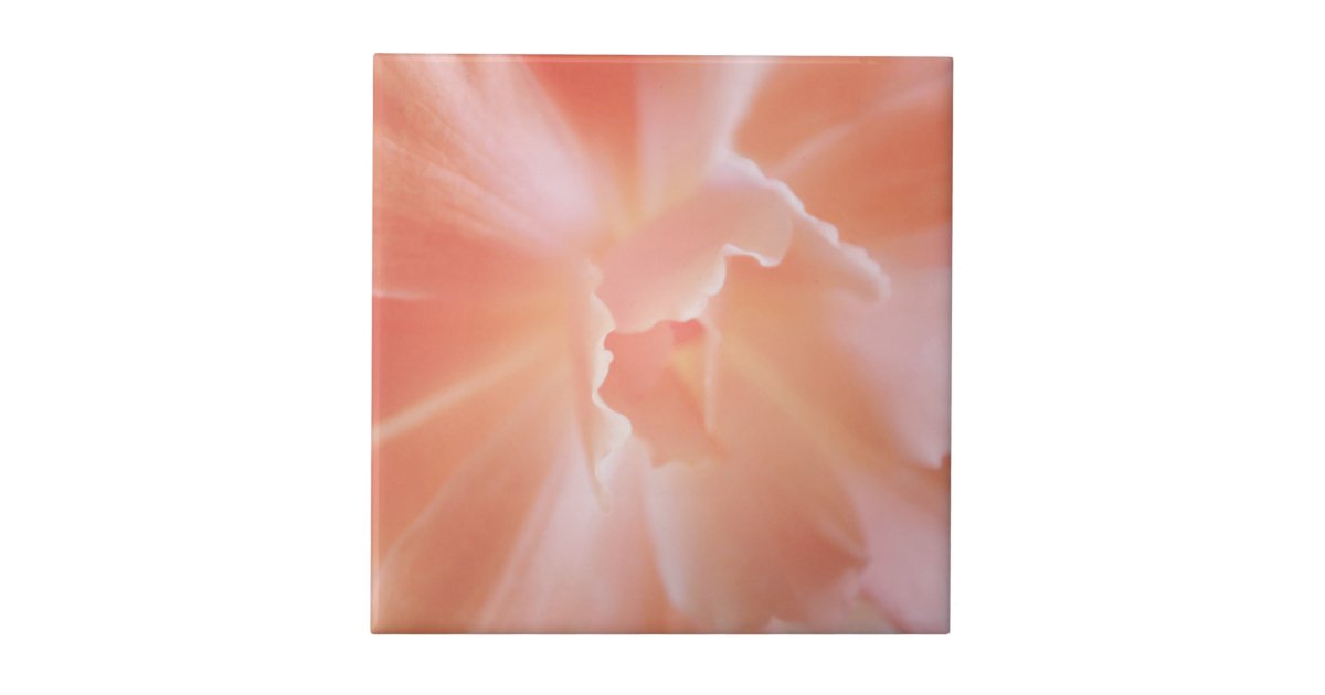 Gorgeous Soft Salmon Colored Begonia Ceramic Tile | Zazzle