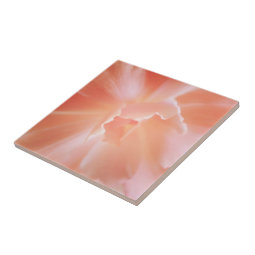Gorgeous Soft Salmon Colored Begonia Ceramic Tile | Zazzle