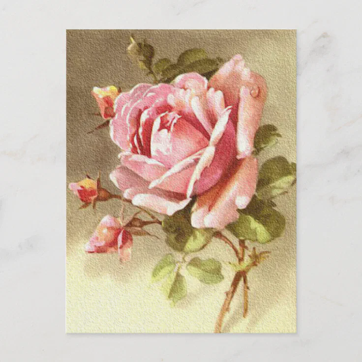 Gorgeous Textured Victorian Pink Rose Postcard | Zazzle