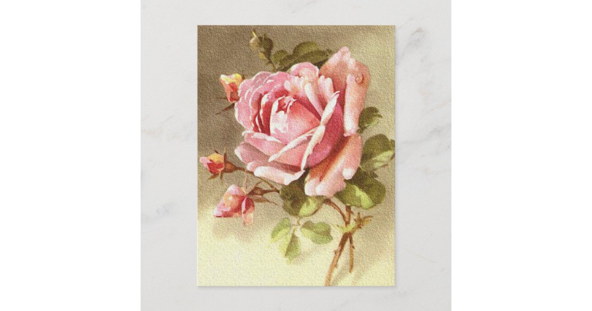Gorgeous Textured Victorian Pink Rose Postcard | Zazzle