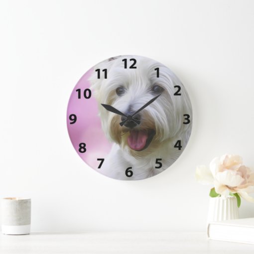 Gorgeous Westie Face Large Clock | Zazzle