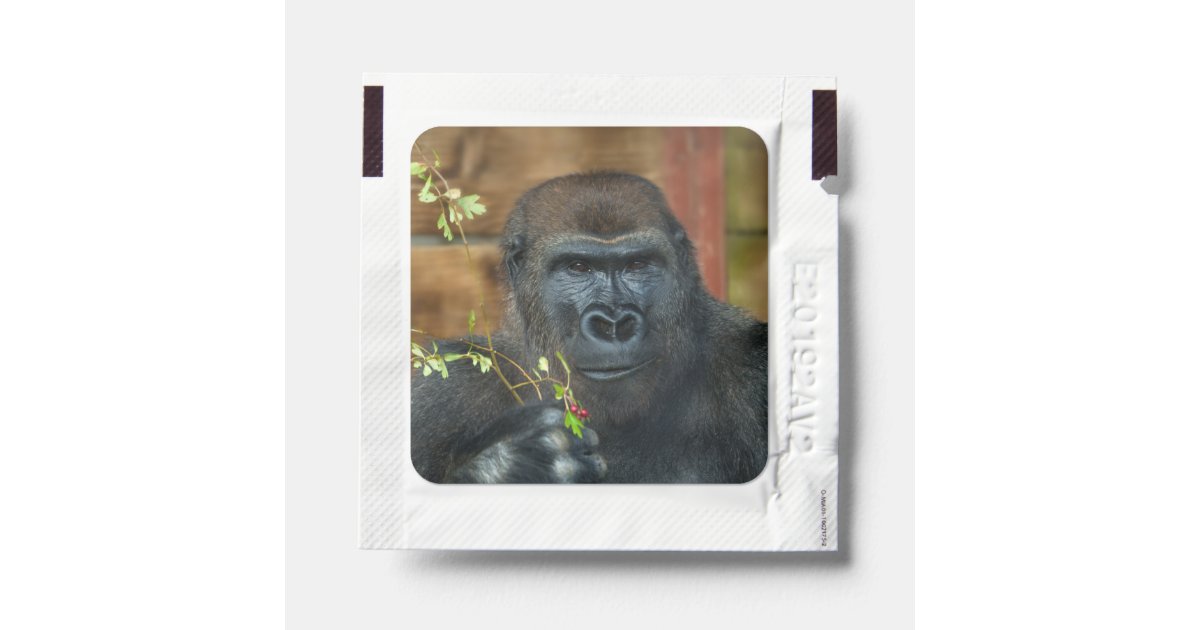 Gorilla And His Berries Hand Sanitizer Packet | Zazzle