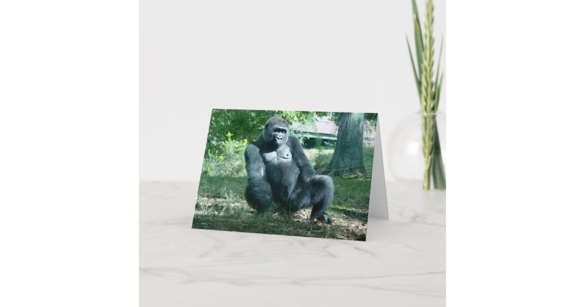 Gorilla Blank Greeting Card | Zazzle