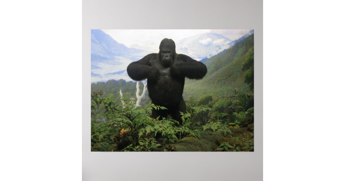Gorilla Poster | Zazzle