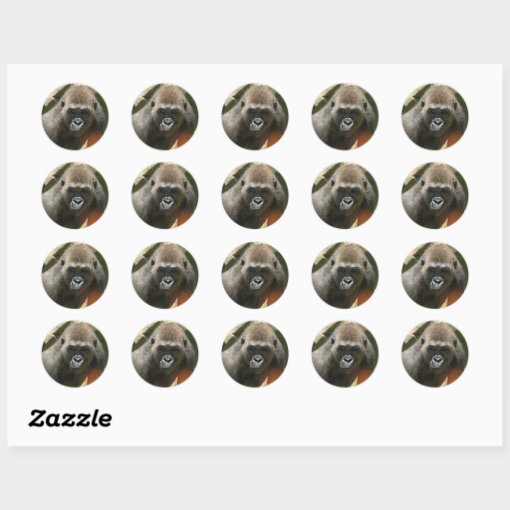 Gorilla Stickers | Zazzle