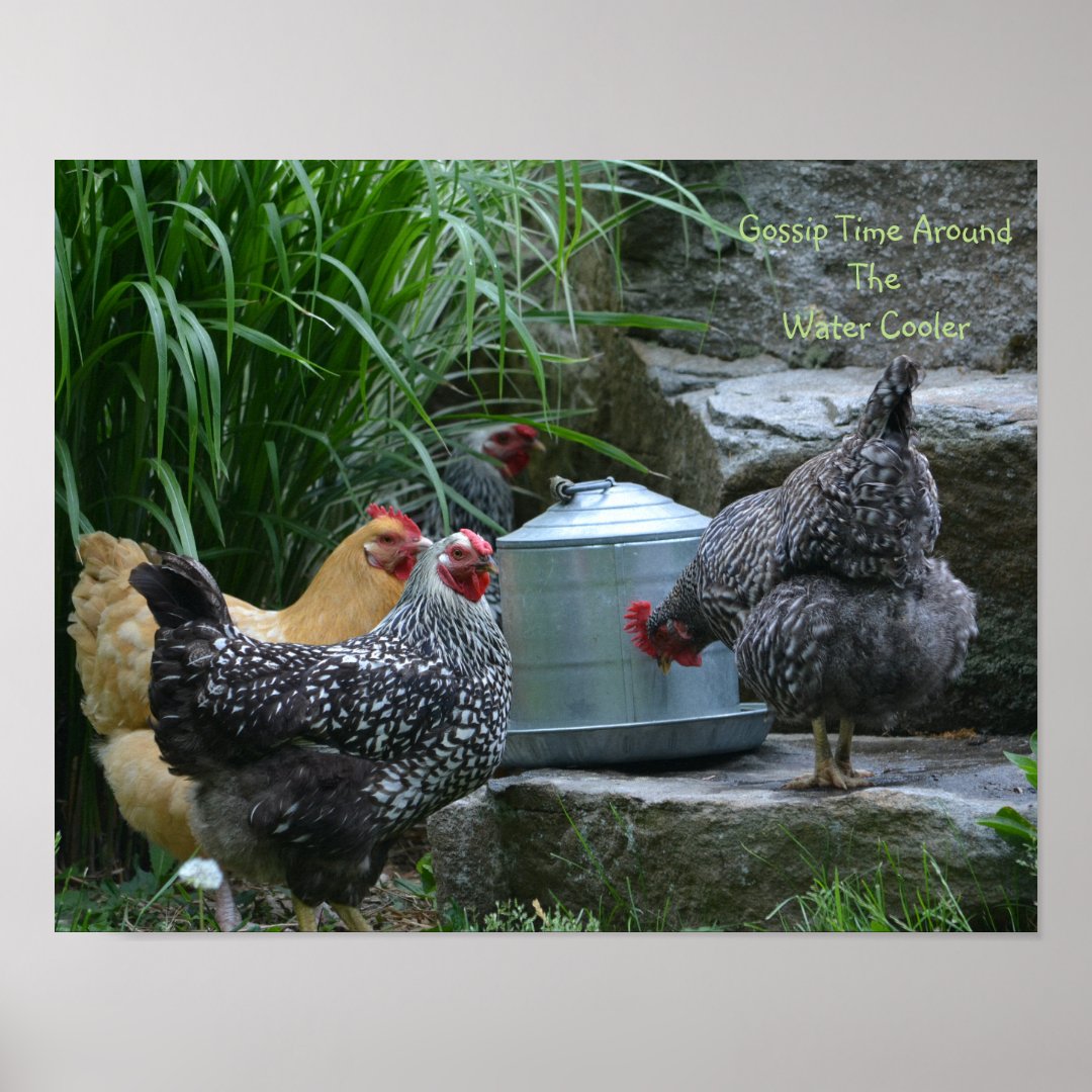 Gossip Around The Water Cooler Poster | Zazzle