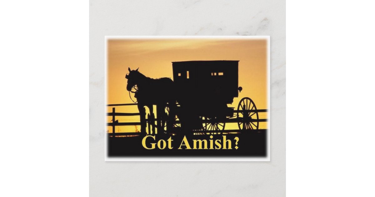 Got Amish? Postcard | Zazzle