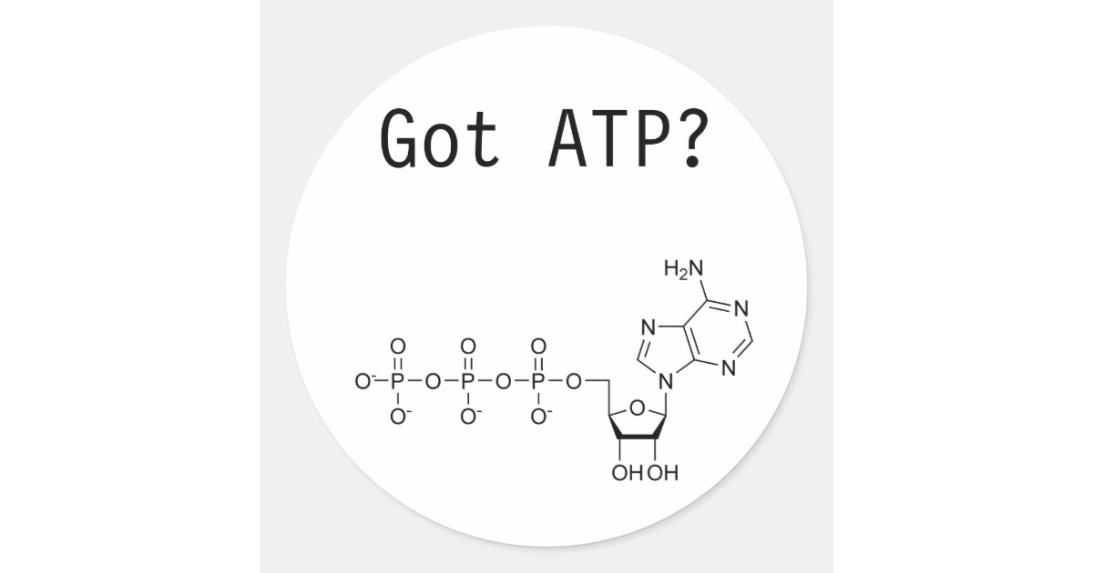 Got ATP? Classic Round Sticker | Zazzle