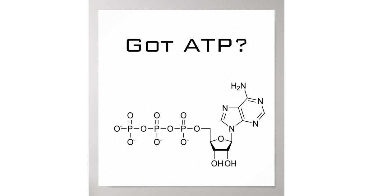 Got ATP? Poster | Zazzle