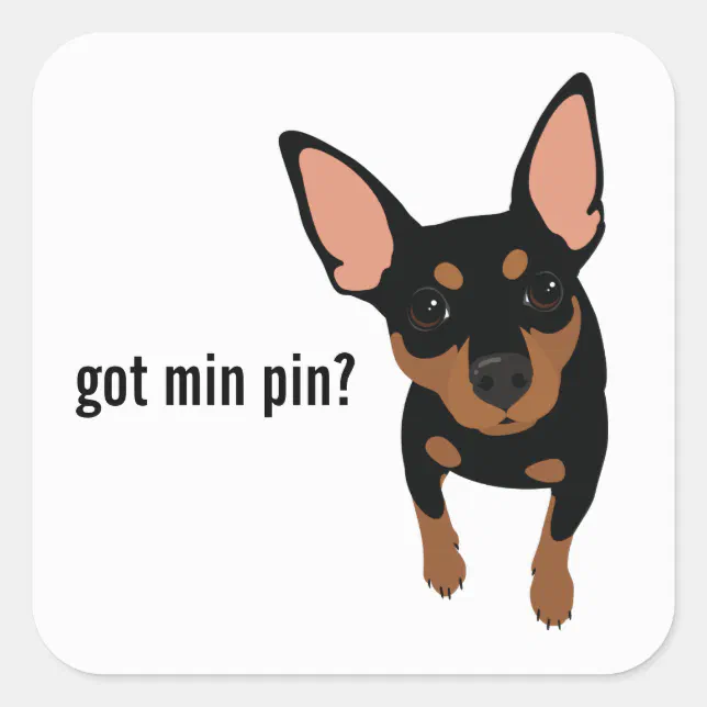 Got Min Pin? Miniature Pinscher (Black) Sticker | Zazzle