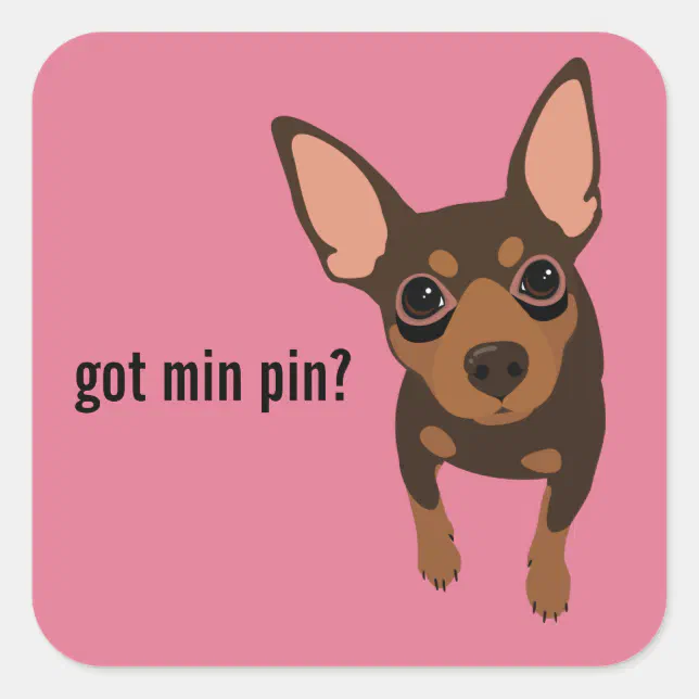 Got Min Pin Miniature Pinscher (Chocolate) Sticker | Zazzle