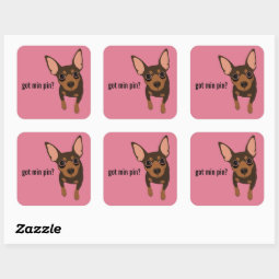 Got Min Pin Miniature Pinscher (Chocolate) Sticker | Zazzle