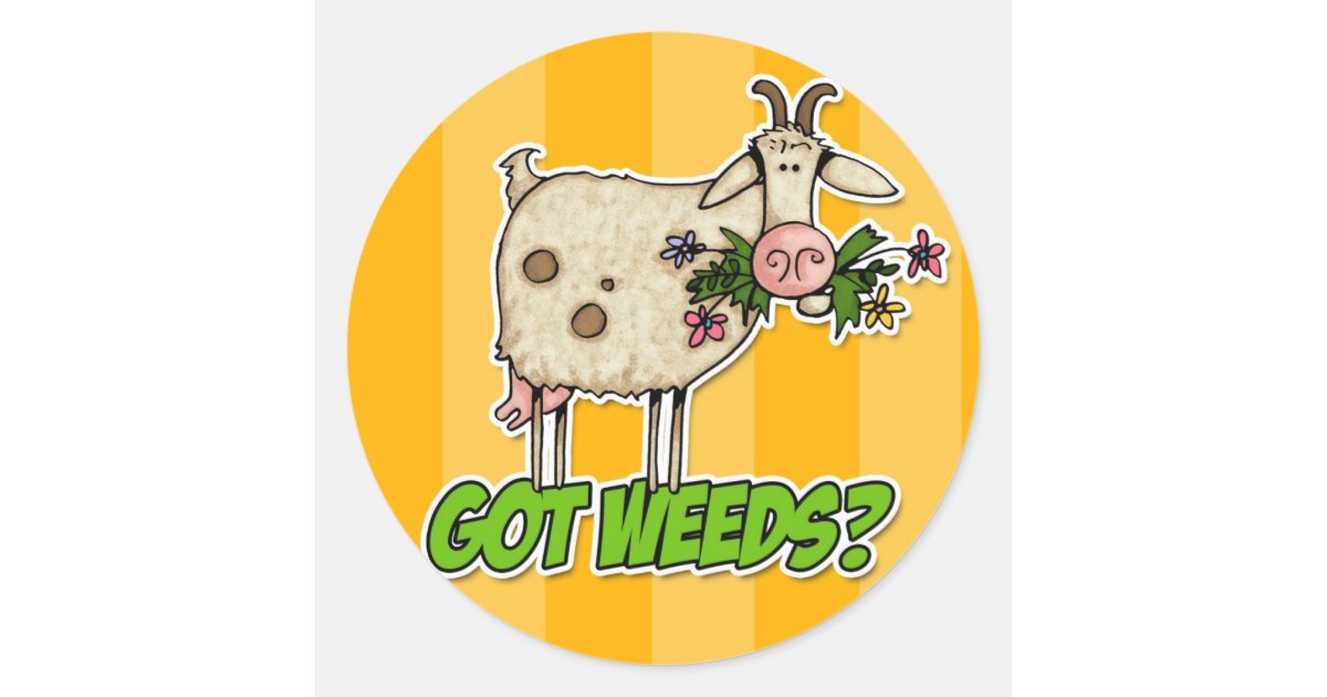 got weeds goat classic round sticker | Zazzle.com