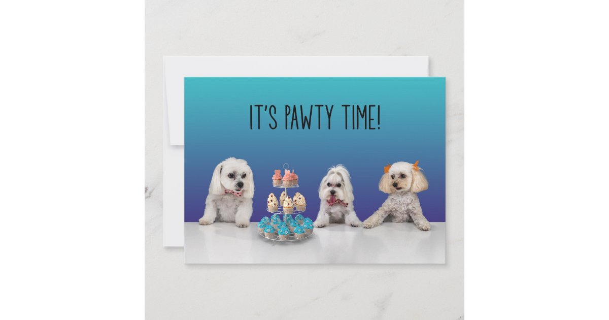 Gotcha Day Party Invitation | Zazzle