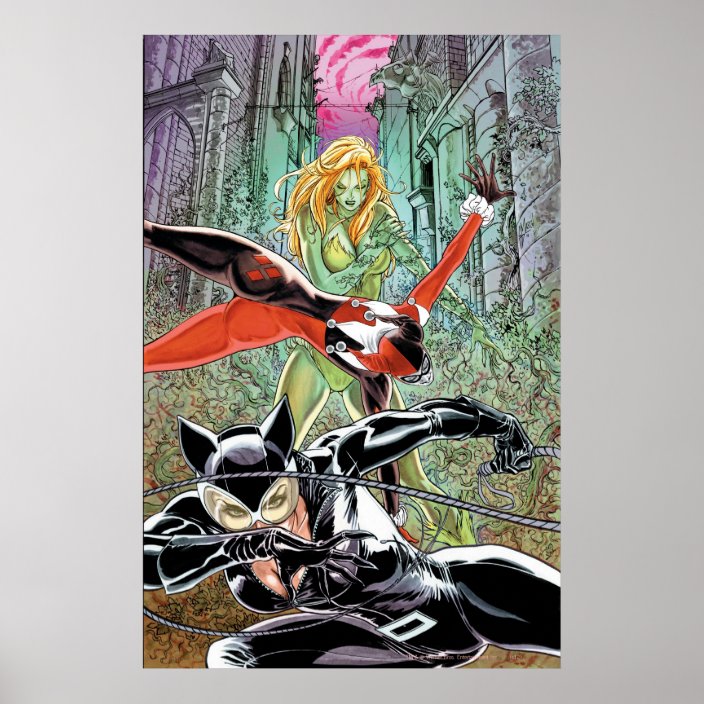 Gotham City Sirens Cv11 Poster | Zazzle.com