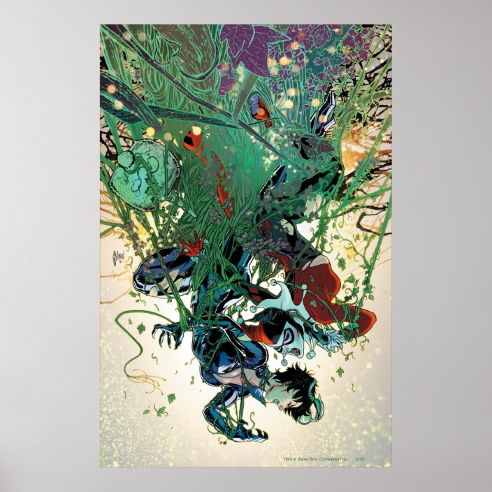Gotham City Sirens Cv15 Poster | Zazzle.com