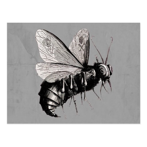 Gothic Bee Skull Wings Postcard | Zazzle