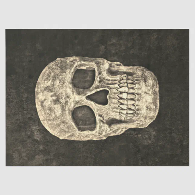 Gothic Human Skull Black Beige Texture Tissue Paper | Zazzle