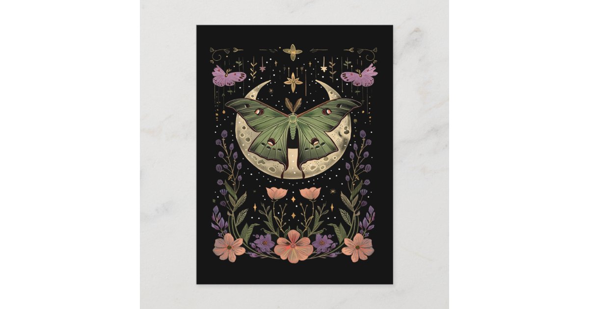 Gothic night sky illustration Postcard | Zazzle