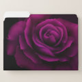 Gothic Purple-Red Rose Flower File Folder | Zazzle