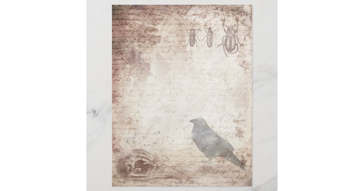 Gothic Raven Vintage Parchment Scrapbook Paper | Zazzle