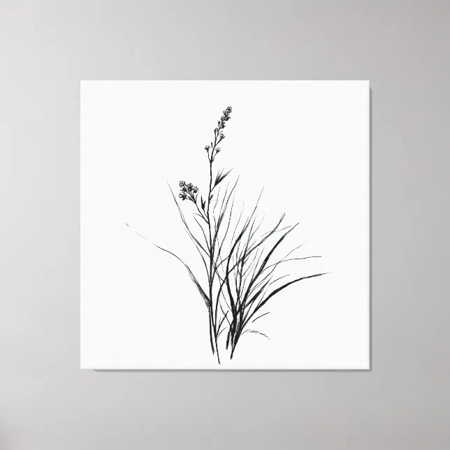 Graceful Monochrome Detailed Reeds Sketch Drawing Canvas Print | Zazzle