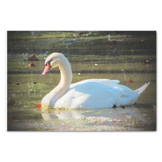 Graceful Swan Tissue Paper | Zazzle.com