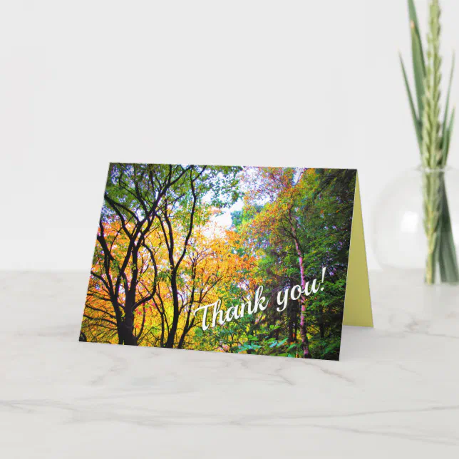 Graceful Trees Colorful Leaves Forest Nature Thank You Card | Zazzle