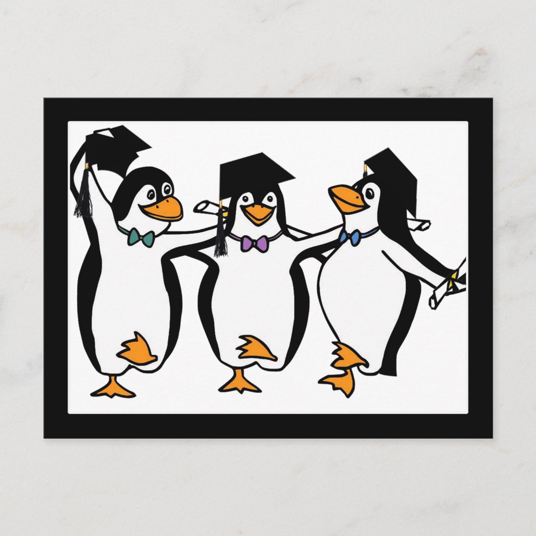 Graduating Penguins Announcement Postcard | Zazzle