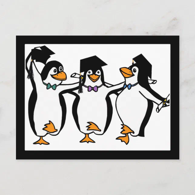 Graduating Penguins Announcement Postcard | Zazzle