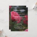 Graduation ceremony (convocation) invitations | Zazzle