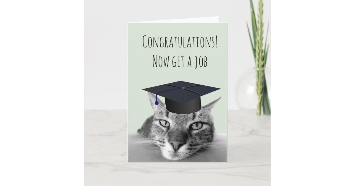Graduation Congratulations Angry Cat Humor Card | Zazzle
