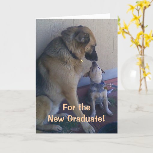 Graduation Congratulations Dogs Card | Zazzle
