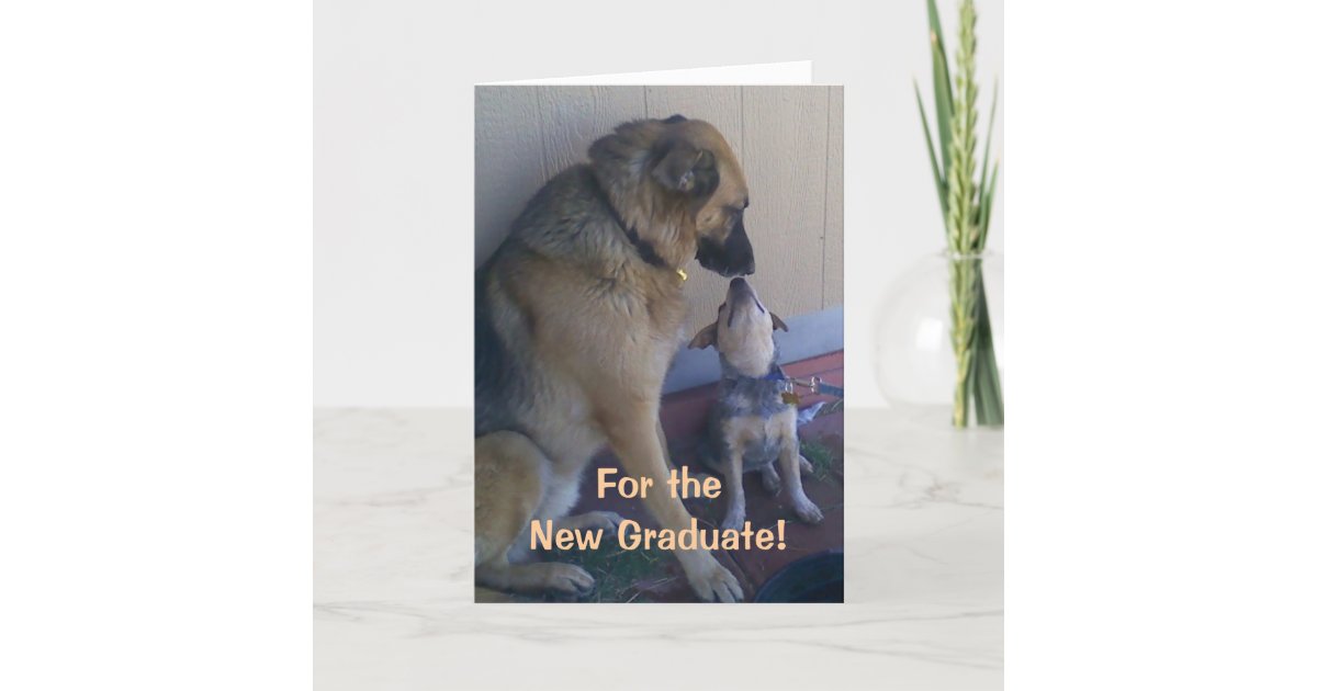 Graduation Congratulations Dogs Card | Zazzle